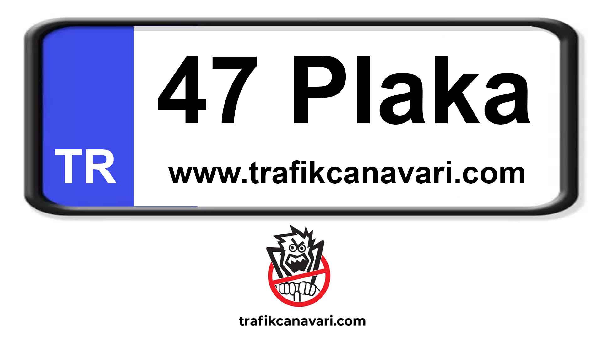 47 Nerenin Plakası - Trafik Canavarı | Trafikcanavari.com