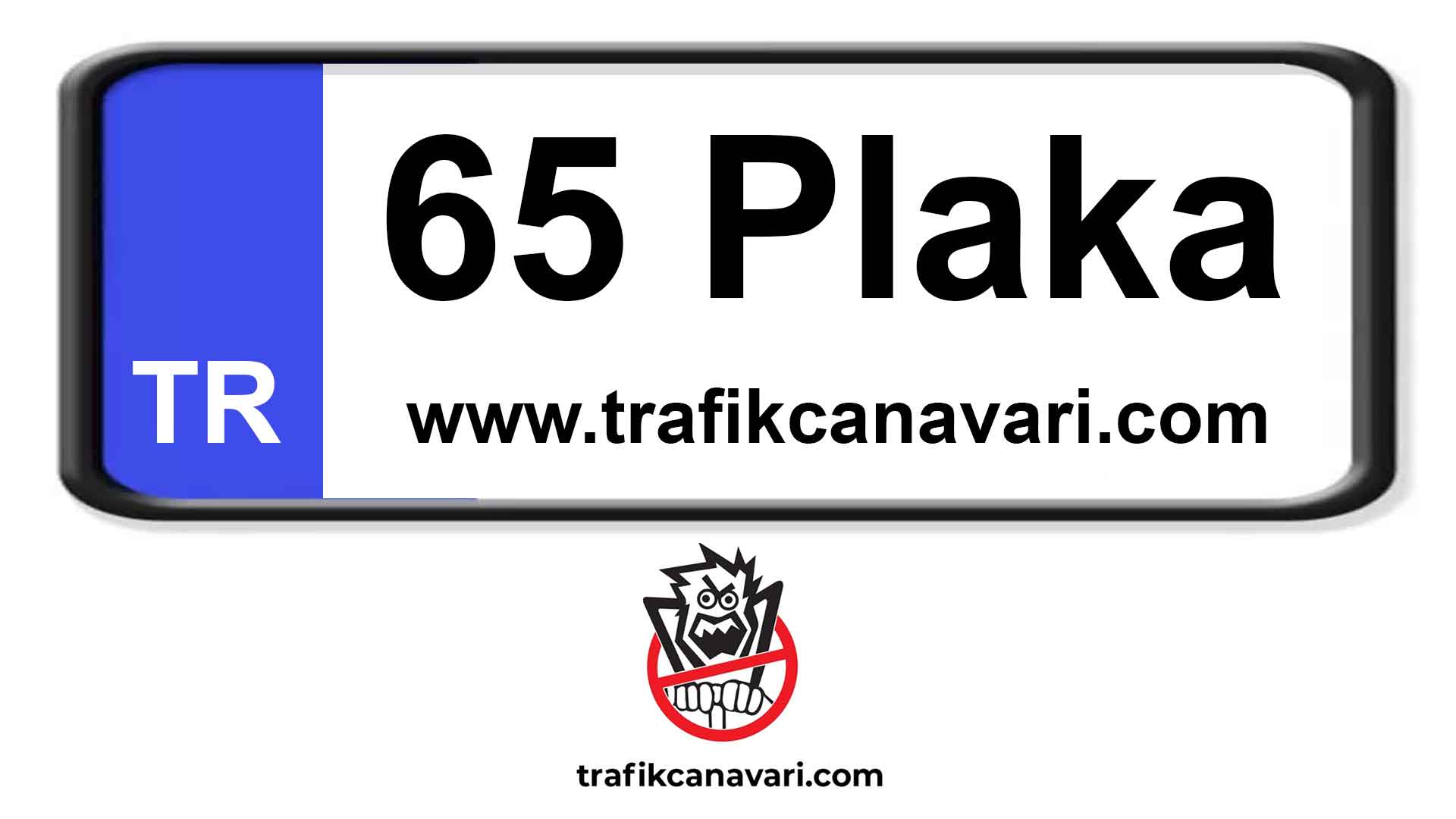 65 Nerenin Plakası - Trafik Canavarı | Trafikcanavari.com